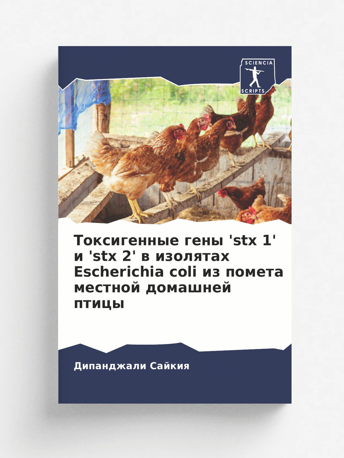 Токсигенные гены 'stx 1' и 'stx 2' в изолятах Escherichia coli из помета местной домашней птицы