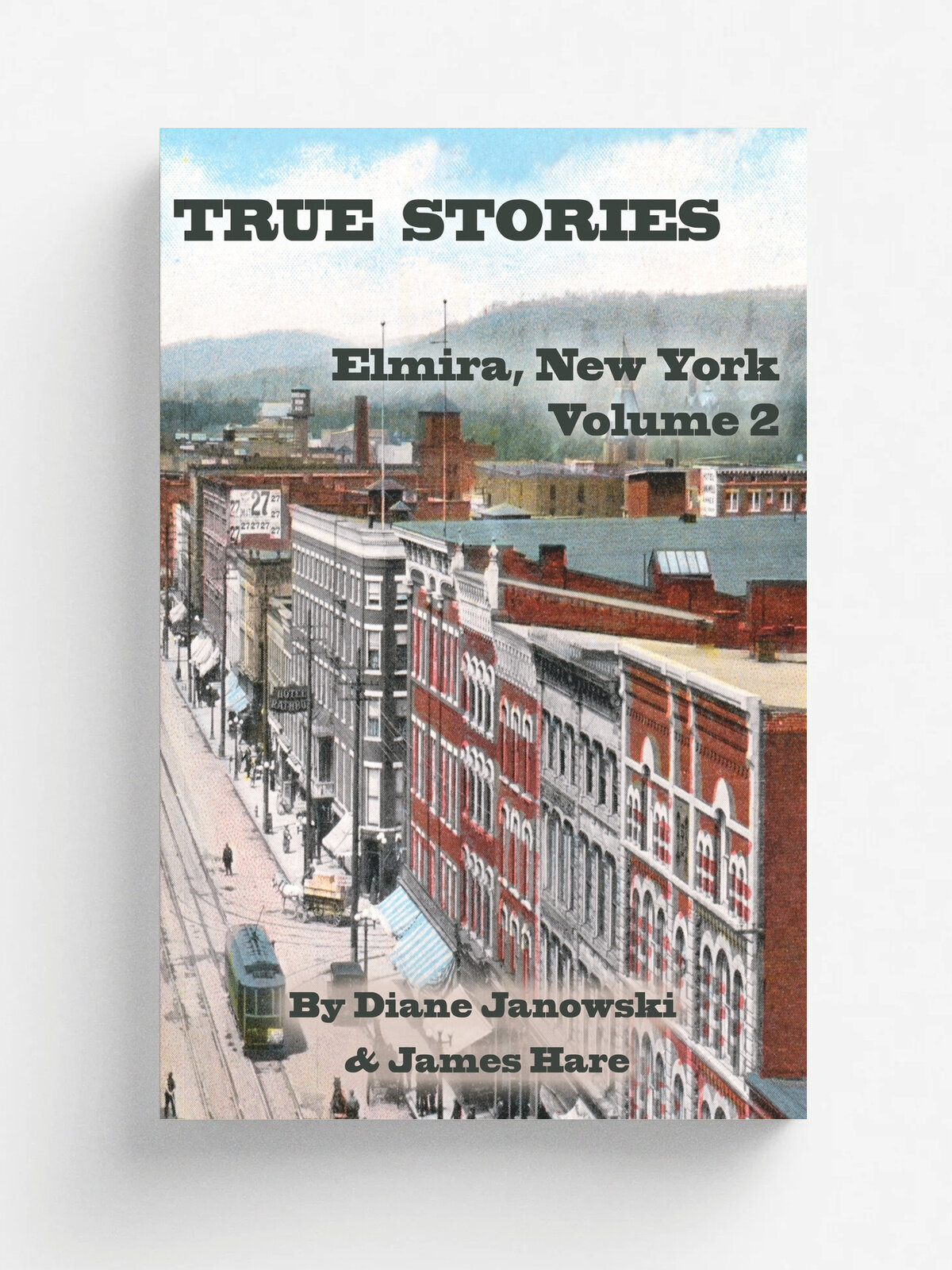True Stories. Elmira, New York Volume 2