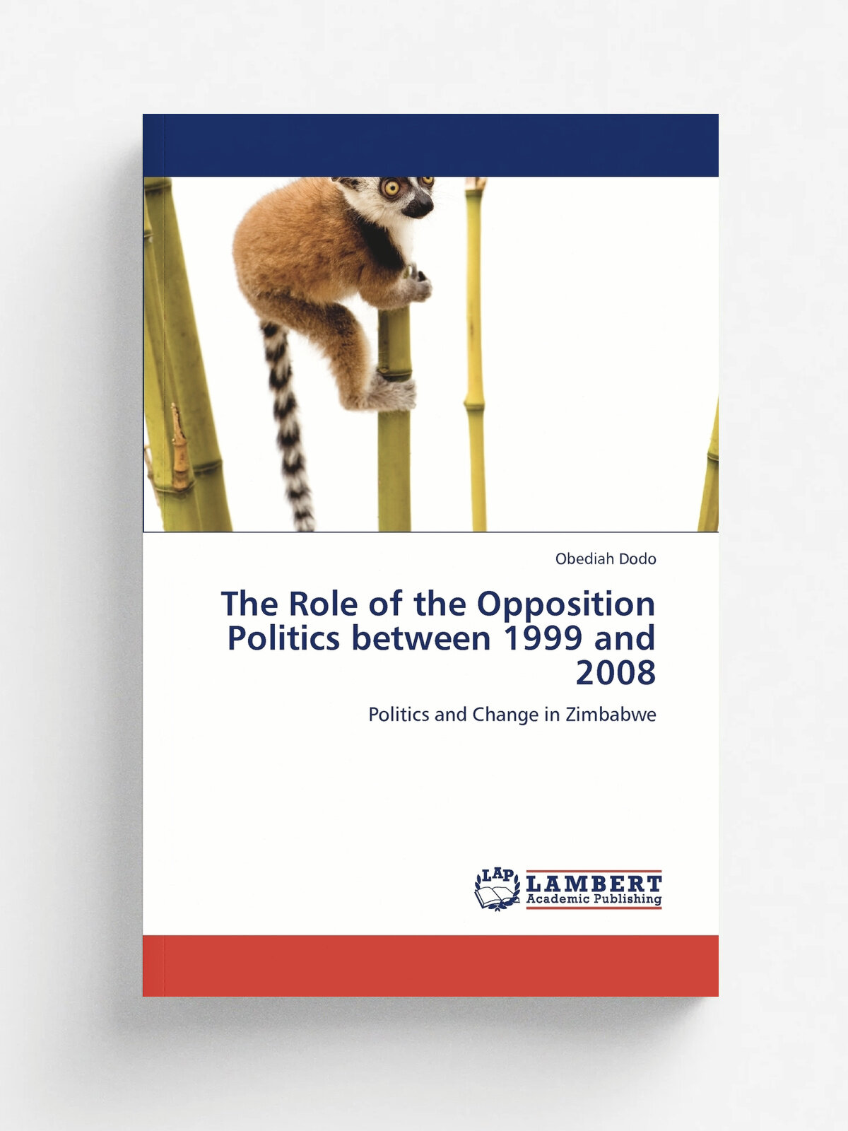 The Role of the Opposition Politics between 1999 and 2008