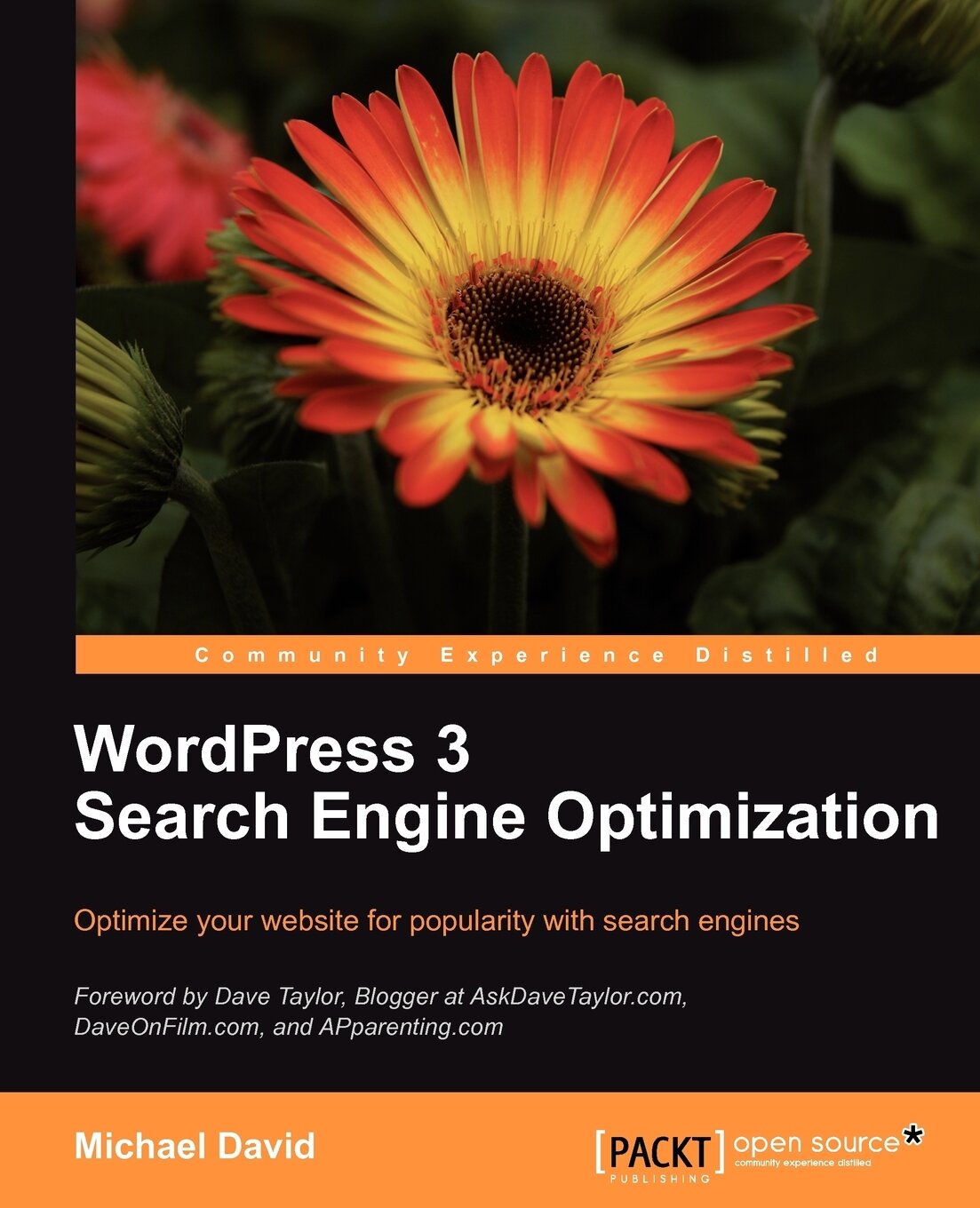 Wordpress 3.0 Search Engine Optimization — фото 1