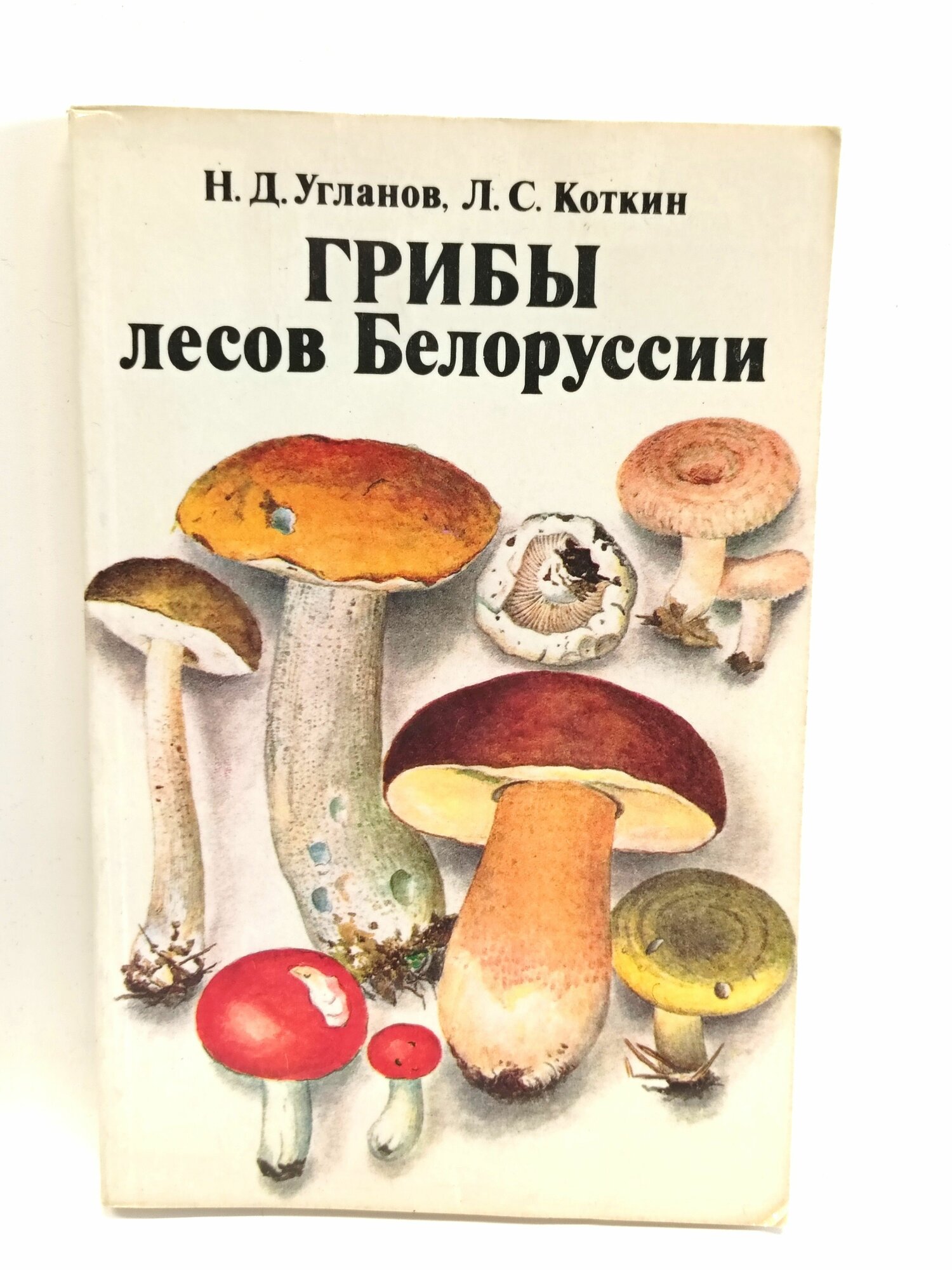 Грибы лесов Белоруссии