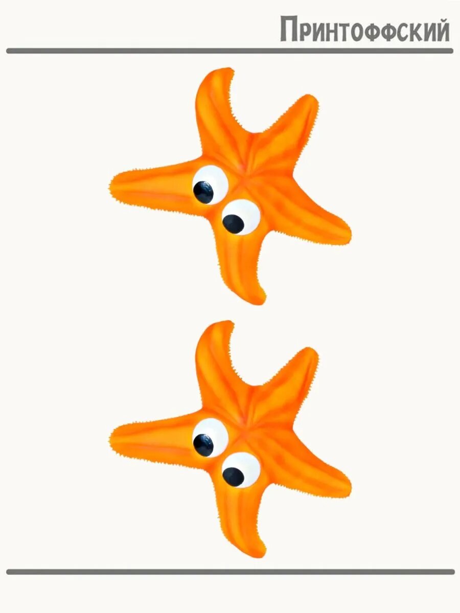 2-е (Две) Термонаклейки Морская Звезда/Starfish Прикол