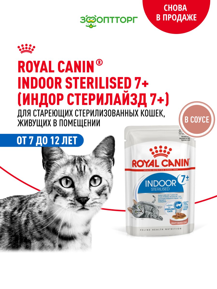 Влажный корм Royal Canin Indoor +7 пауч для домашних кошек старше 7 лет (кусочки в соусе) Птица, 85 г х 28 шт.