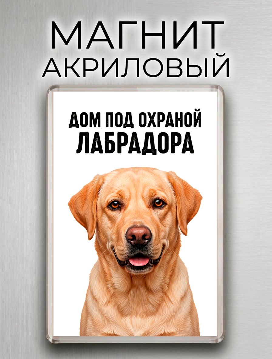 Магнит на холодильник "Лабрадор" - подарок для любителей собак/ сувенир собачнику/интерьер для кухни