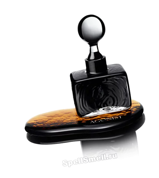 Agonist Black Amber Parfum для женщин и мужчин 50 мл - Агонист Черный Янтарь духи унисекс