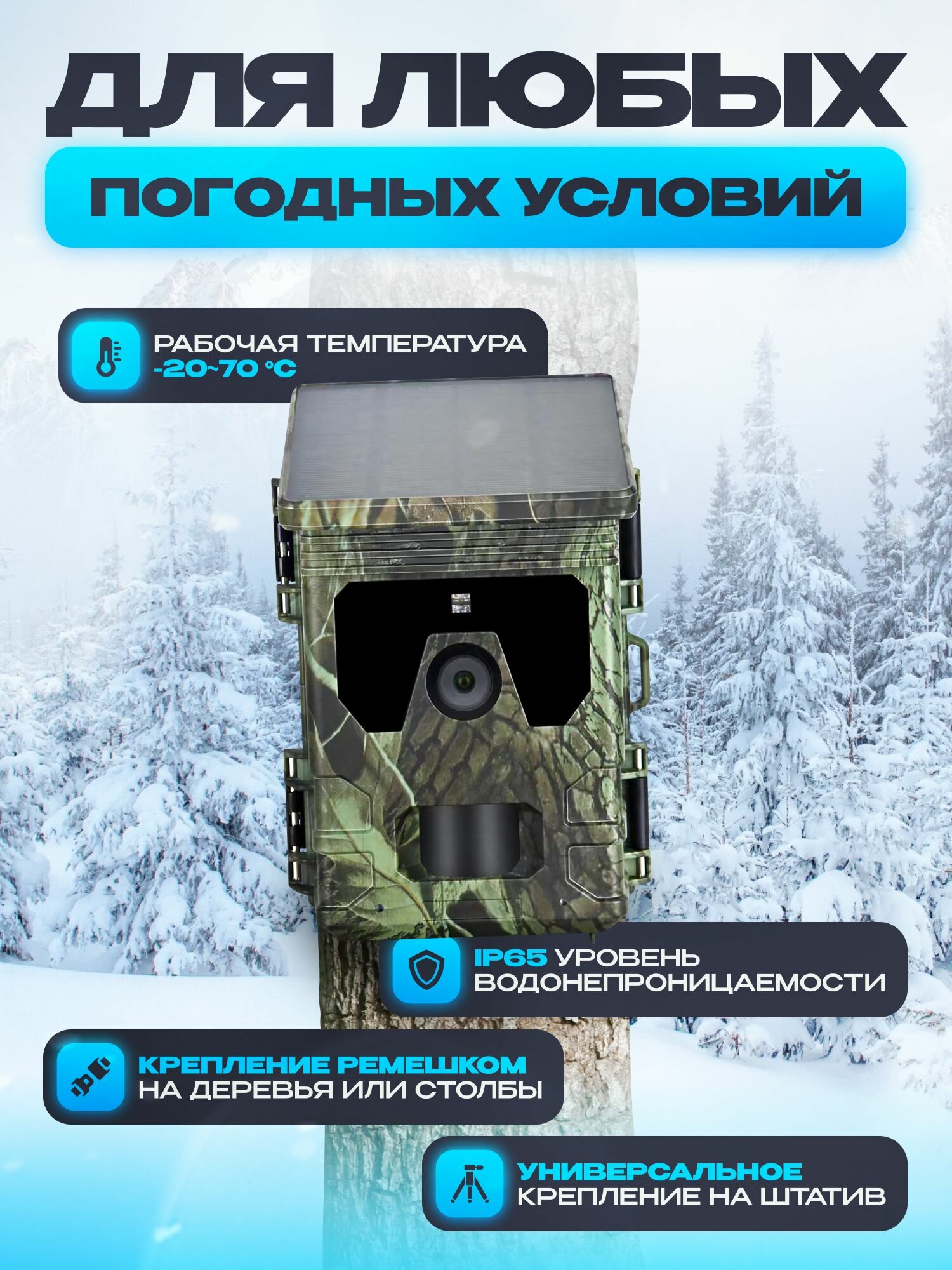 Фотоловушка — фото 1