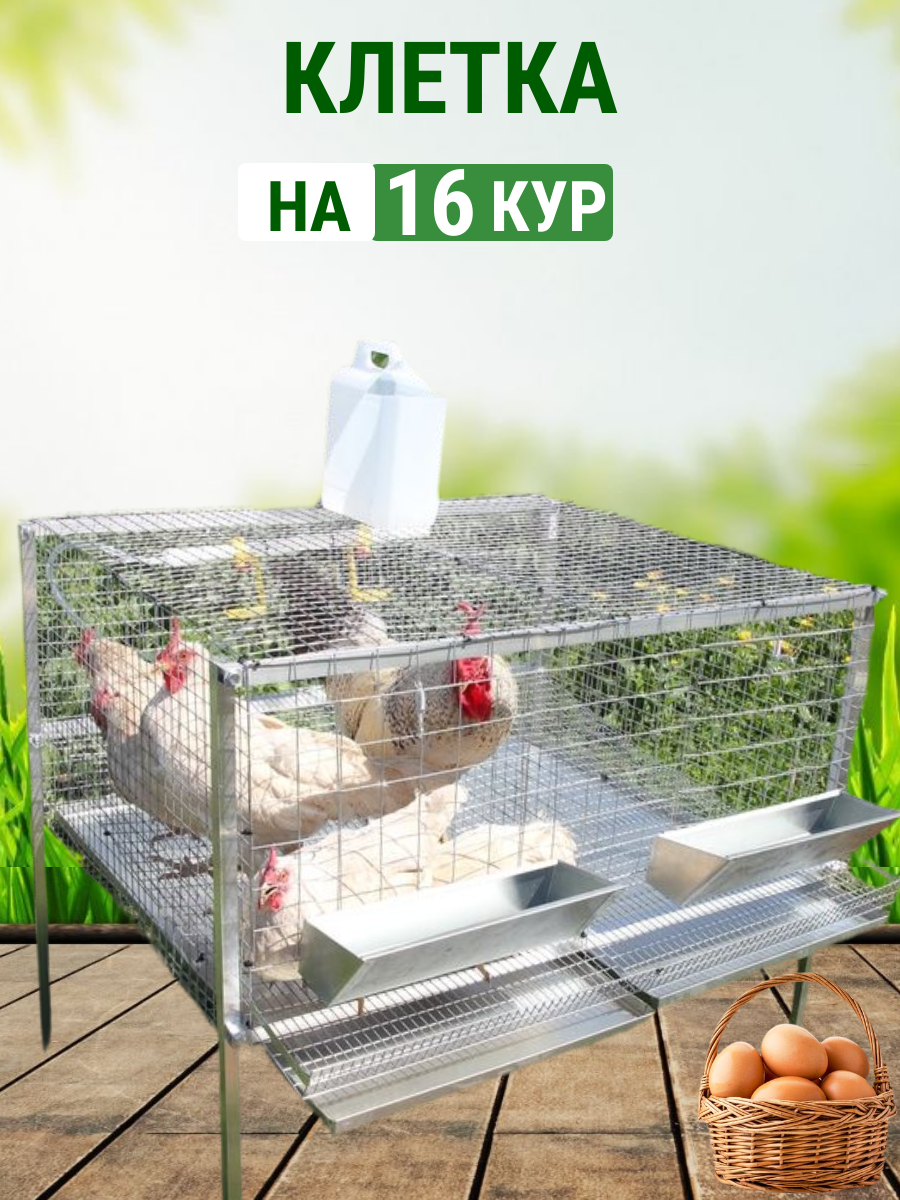 Клетка для кур до 16 голов на каркасе в полной комплектации Подворье