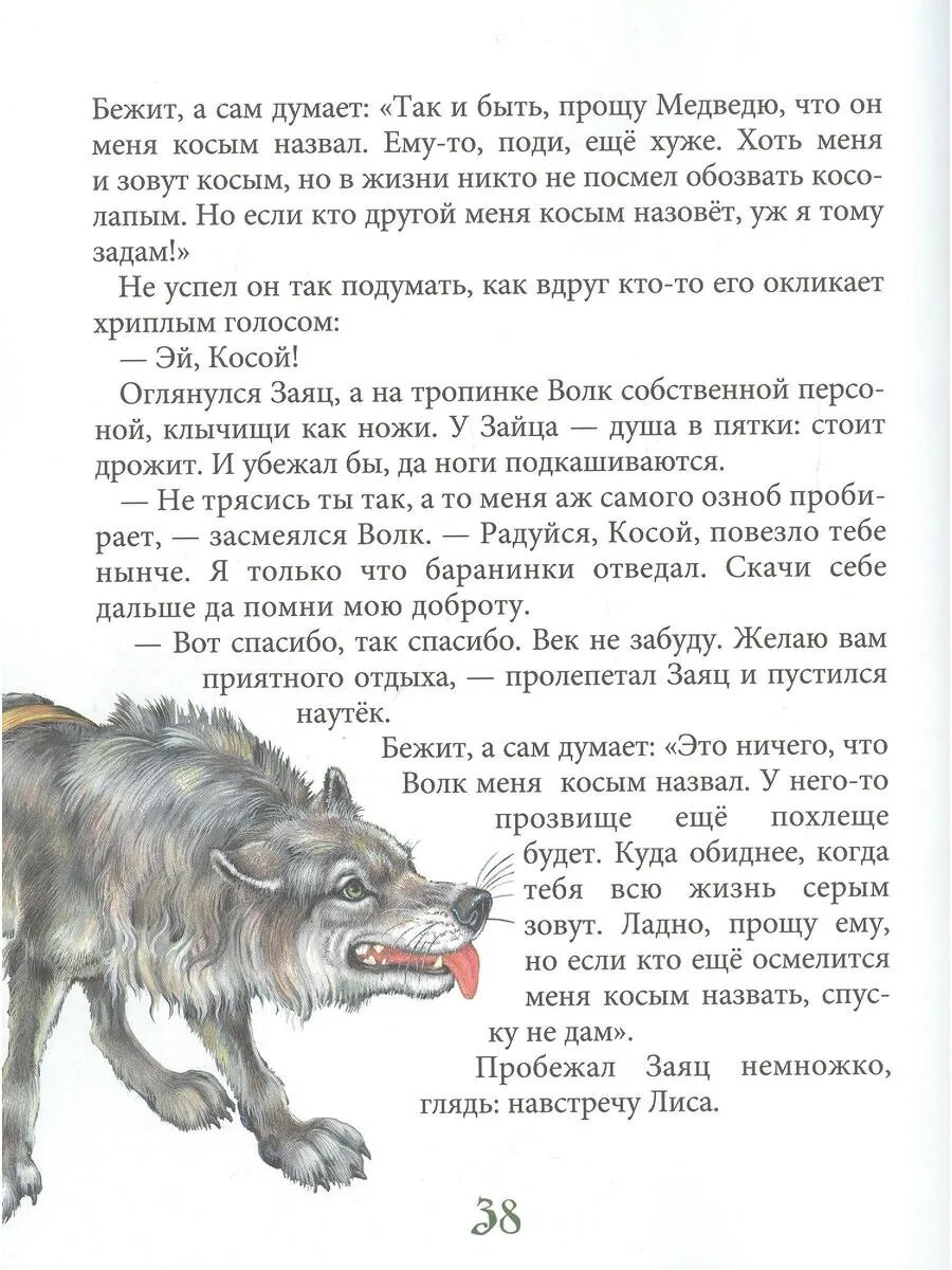 Лесные истории — фото 1