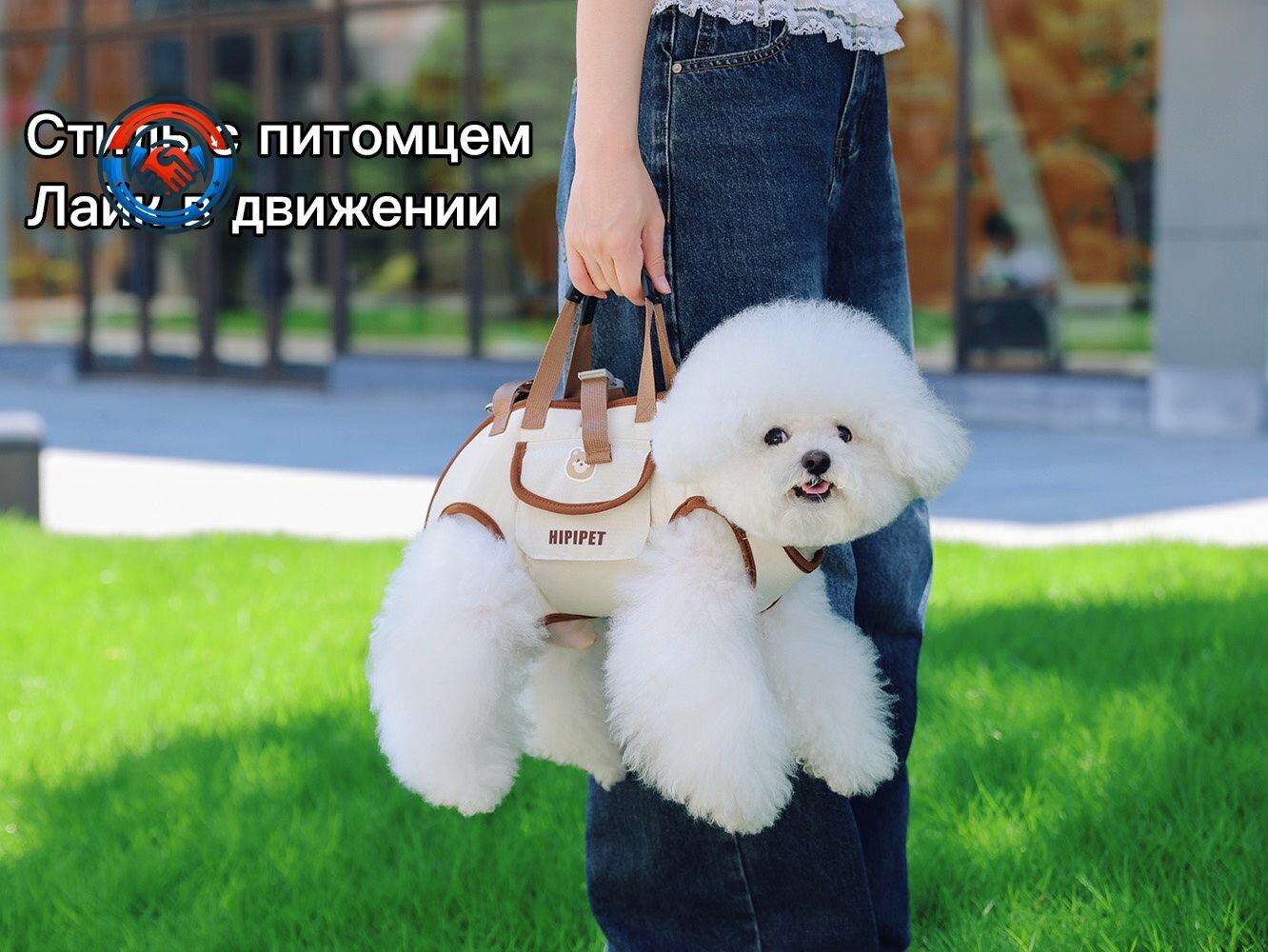 Сумка переноска для собак 3 в 1, лёгкая дышащая кросс-боди с поводком, для малых пород 2-11,5 кг, стильная городская переноска на прогулку и путешествия