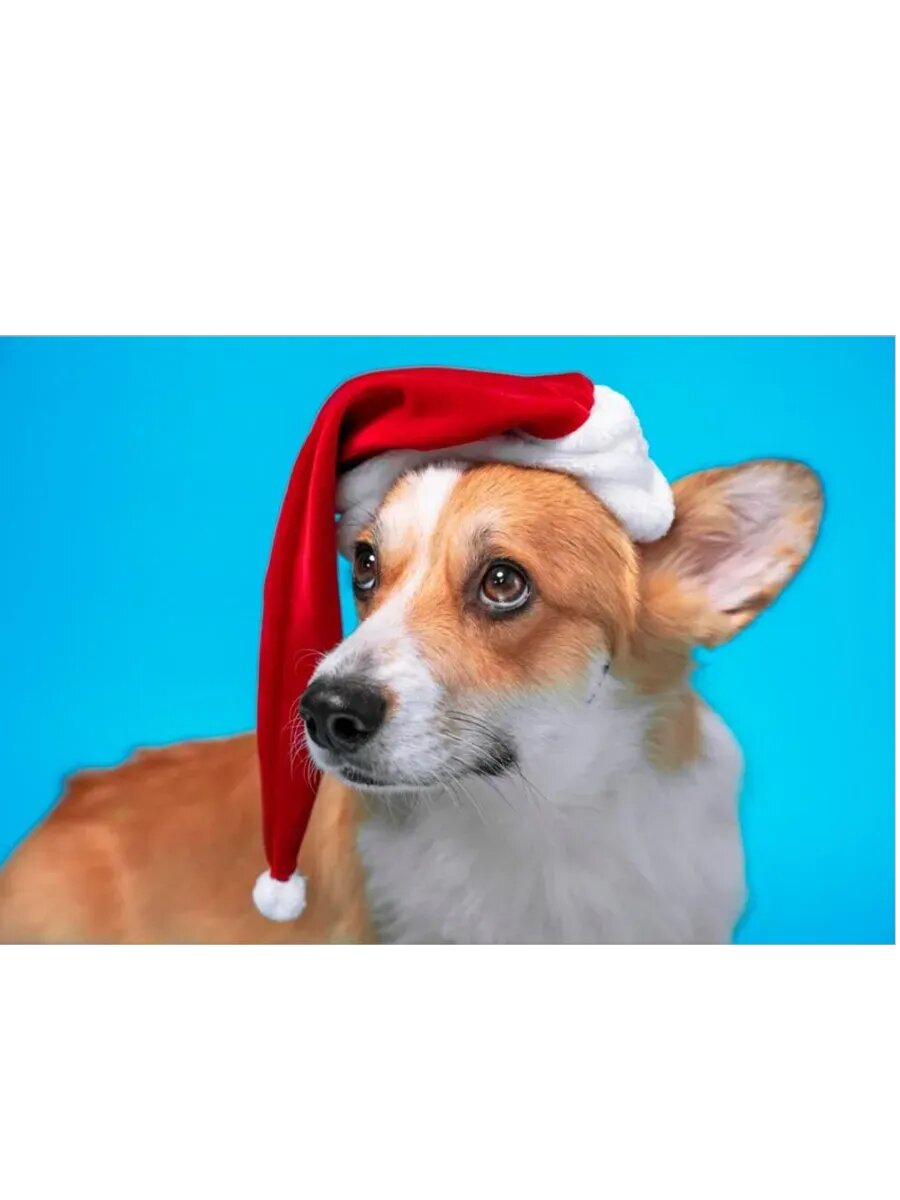 Алмазная мозайка 30х40см Корги в шапке ПП-00208532