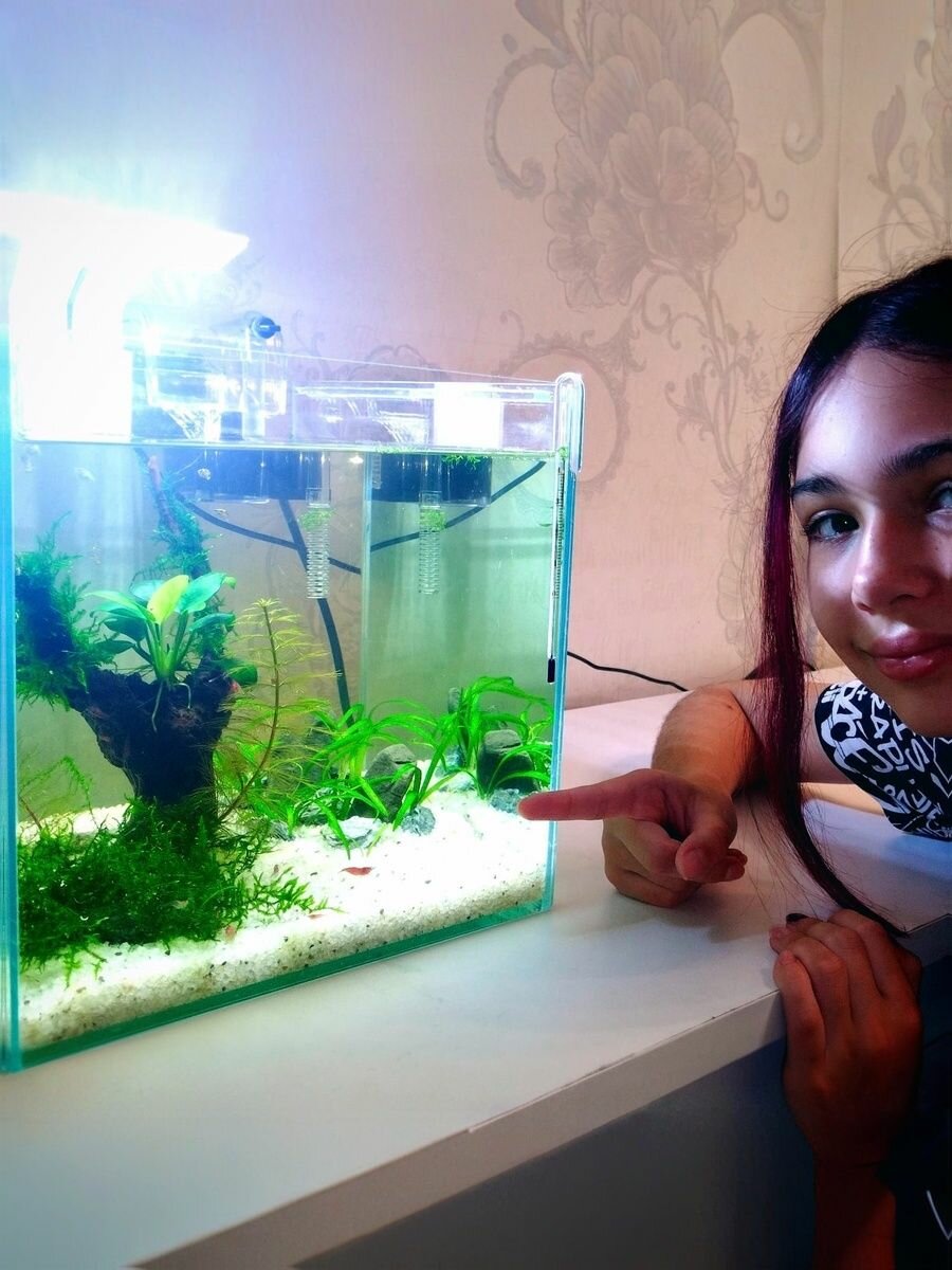 Аквариум живой 15 л. куб под ключ с биотопом