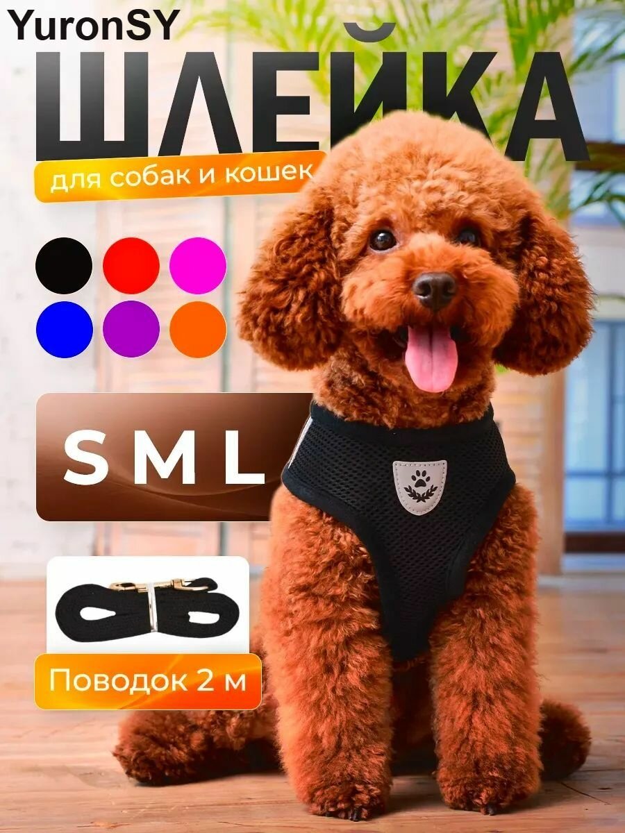 Шлейка для собак и кошек с поводком для всех типов пород