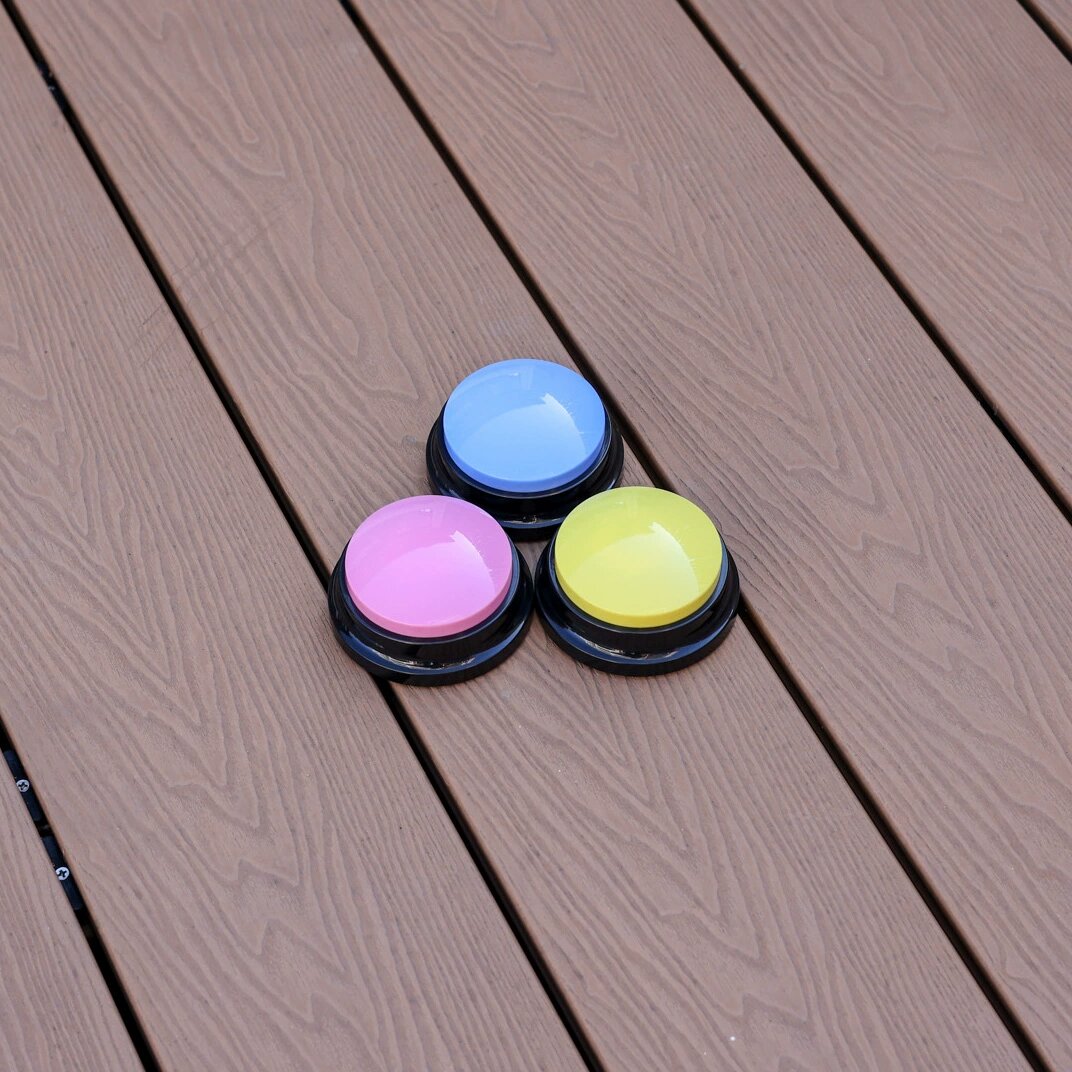 Интерактивная кнопка для обучения речи в детском саду: запись голоса, обучающая игрушка для родителей и детей, кнопка