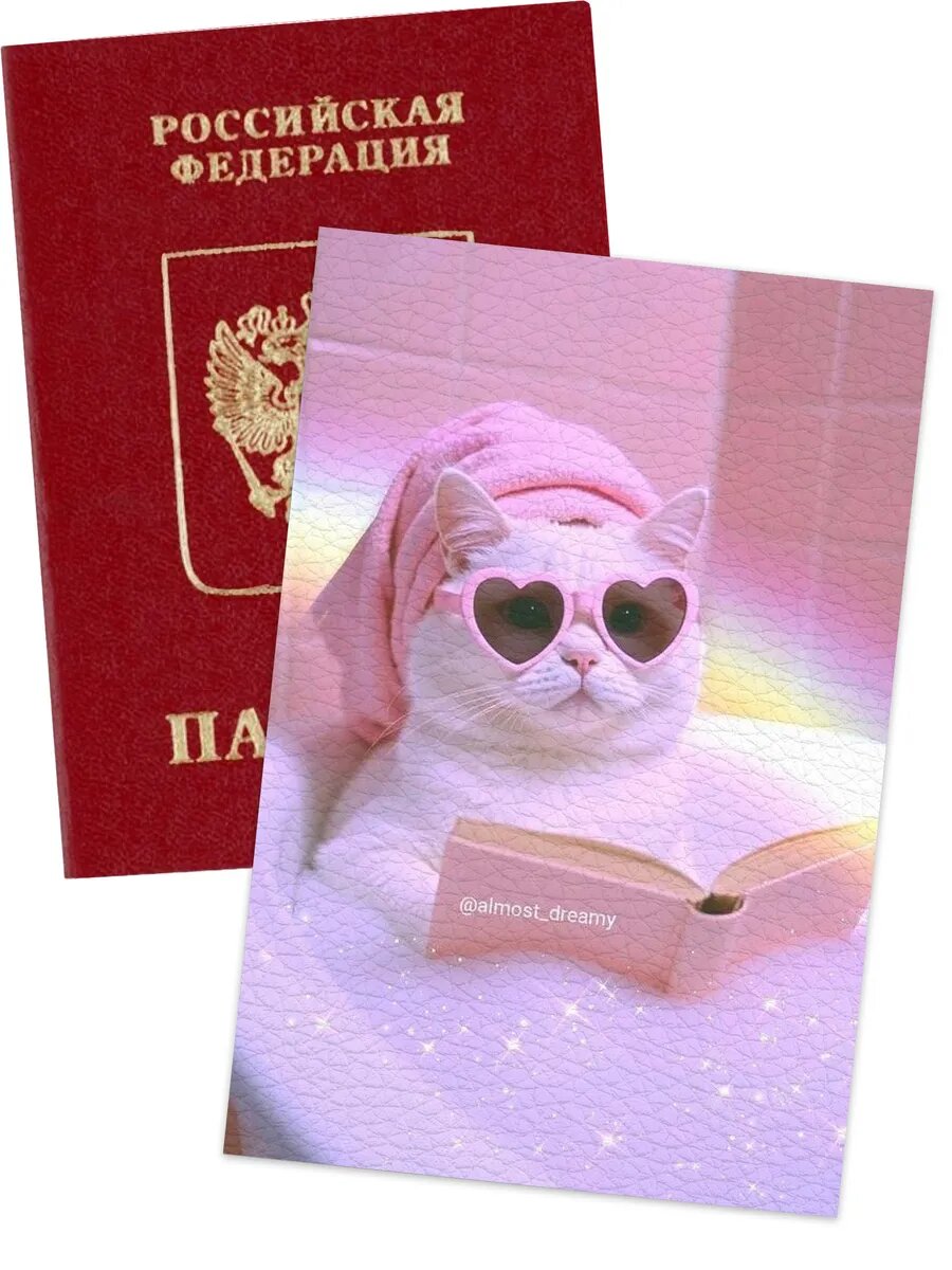 Обложка для паспорта NOOTO