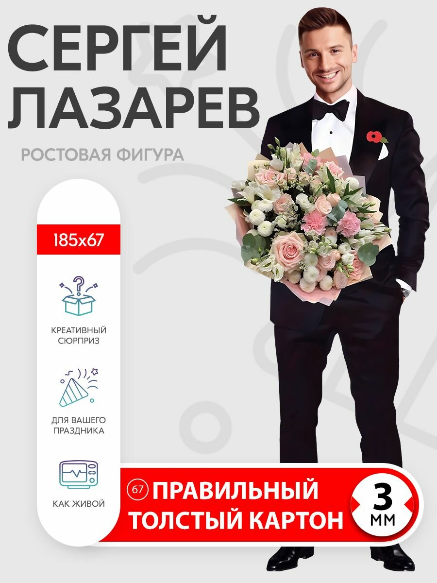 Аксессуар для фотосессий, Сергей Лазарев 11, ростовая фигура бренда "Самое это"