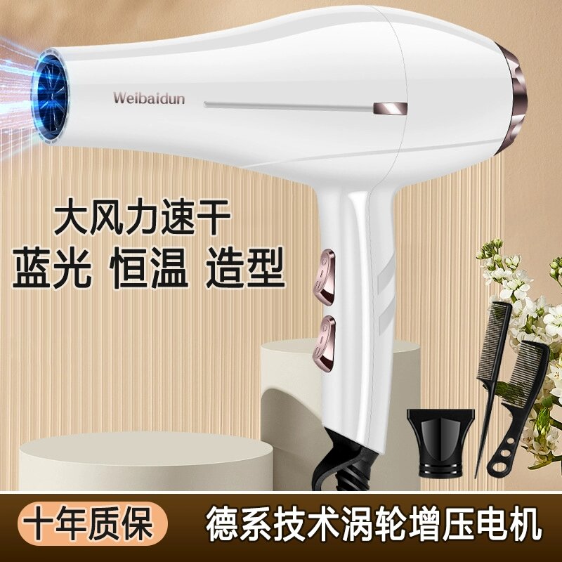 Немецкий мощный фен для дома, парикмахерская, парикмахерская, синий свет, отрицательные ионы, уход за волосами,