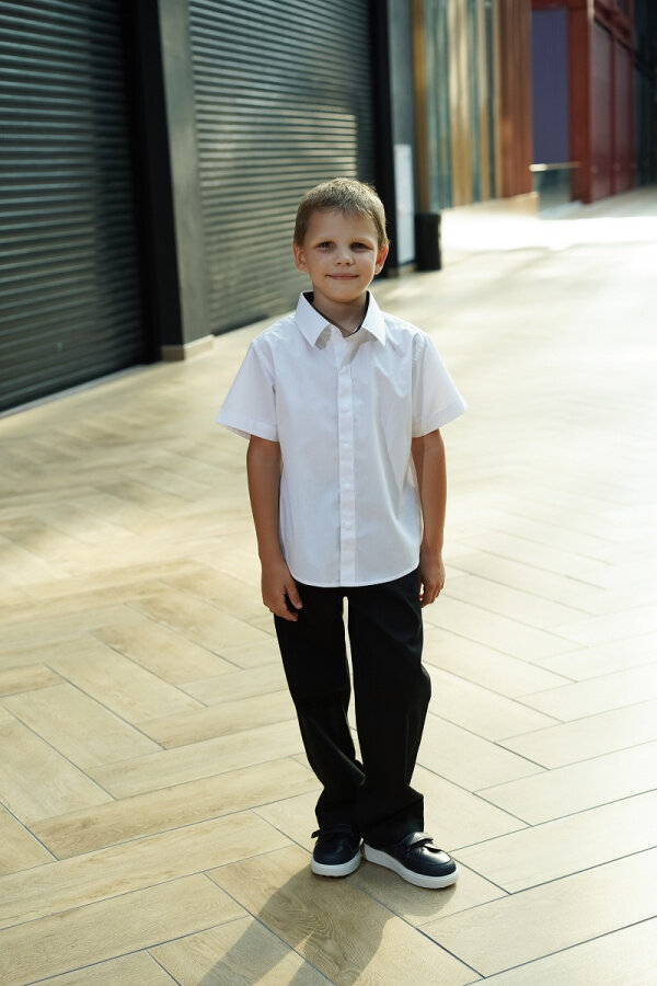 Брюки классические