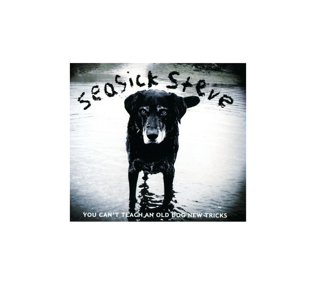Диск SEASICK STEVE - You Can't Teach An Old Dog New Tricks (1 CD)