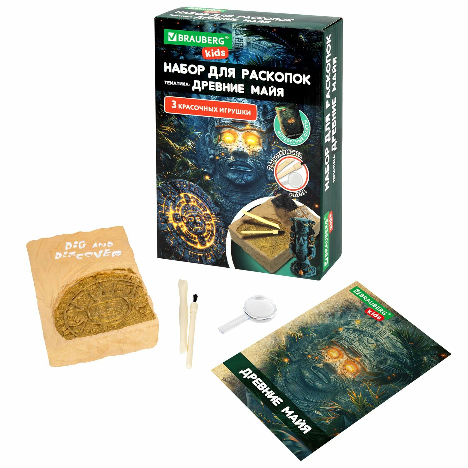Набор для раскопок "Древние Майя" 16х23 см, инструменты, BRAUBERG KIDS, 665940