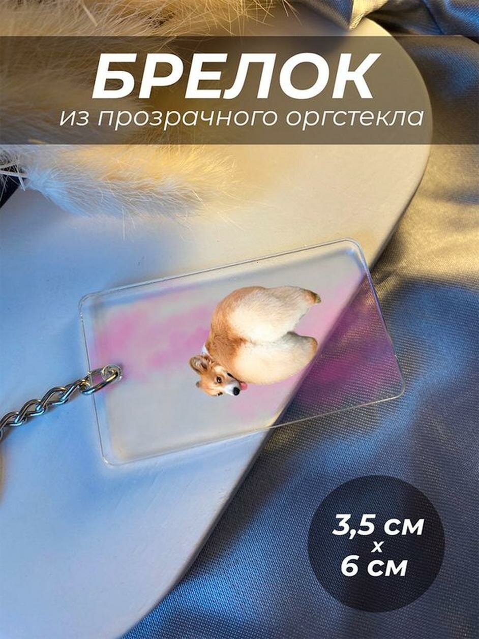 Брелок PNP