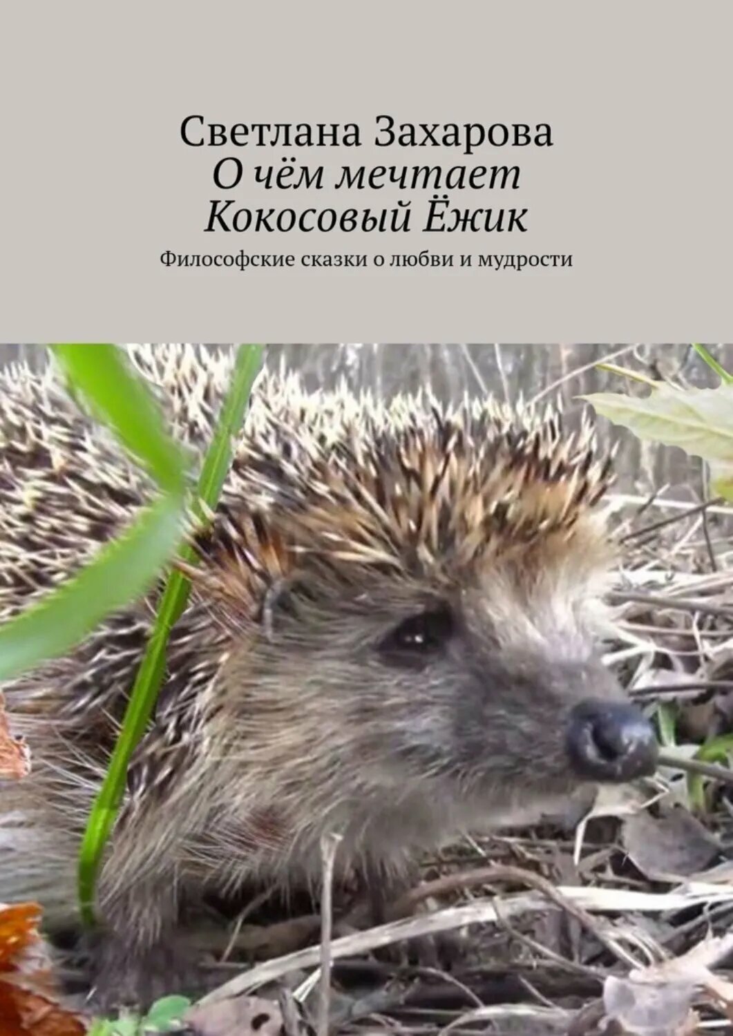 О чём мечтает Кокосовый Ёжик. Философские сказки о любви и мудрости [Цифровая книга]