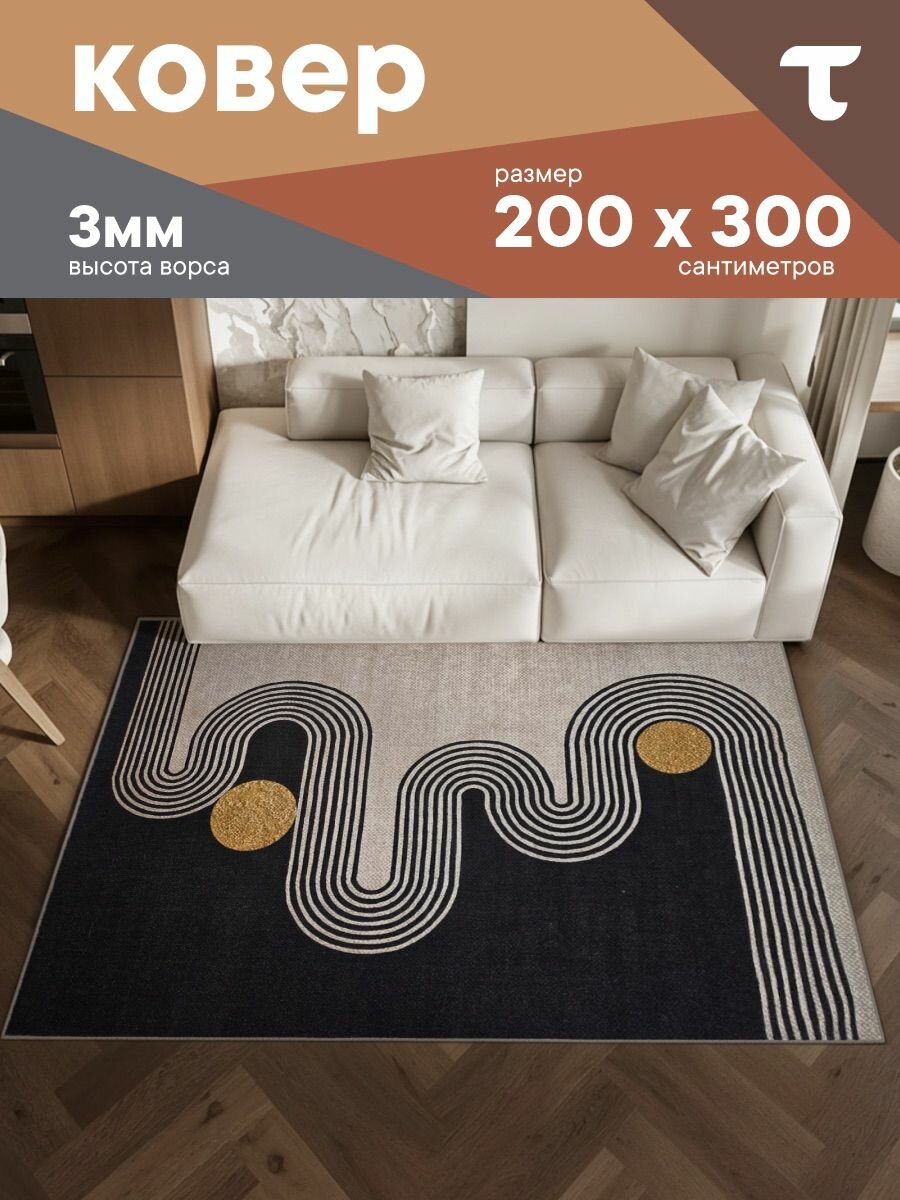 Ковер палас на пол настенный размер: 2,0х3,0 м (200 х 300 см) безворсовый в спальню гостиную на кухню на стену своременный