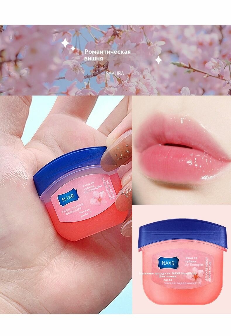 Набор бальзамов (гигиенической помады) для губ WNPL (натурал, роза, мед, сакура, авокадо, персик), 6х7 г.