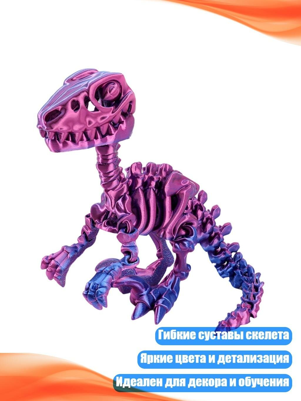 3D-модель скелета динозавра велоцираптора, про - 9