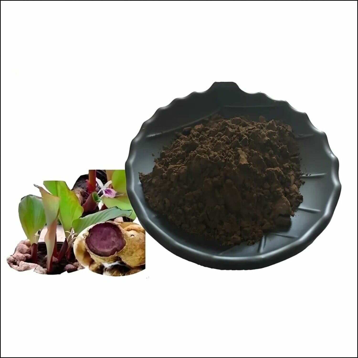 100 - 500 г экстракта чистого черного имбиря (Thai Black Ginger Extract)