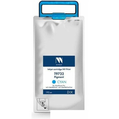 NV Print NV-C13T973200