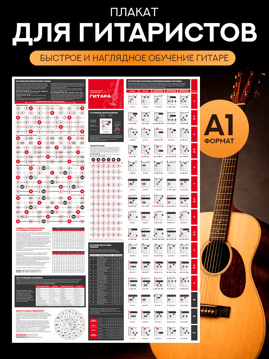 Обучающий плакат для начинающих гитаристов: аккорды для гитары ноты гаммы теория