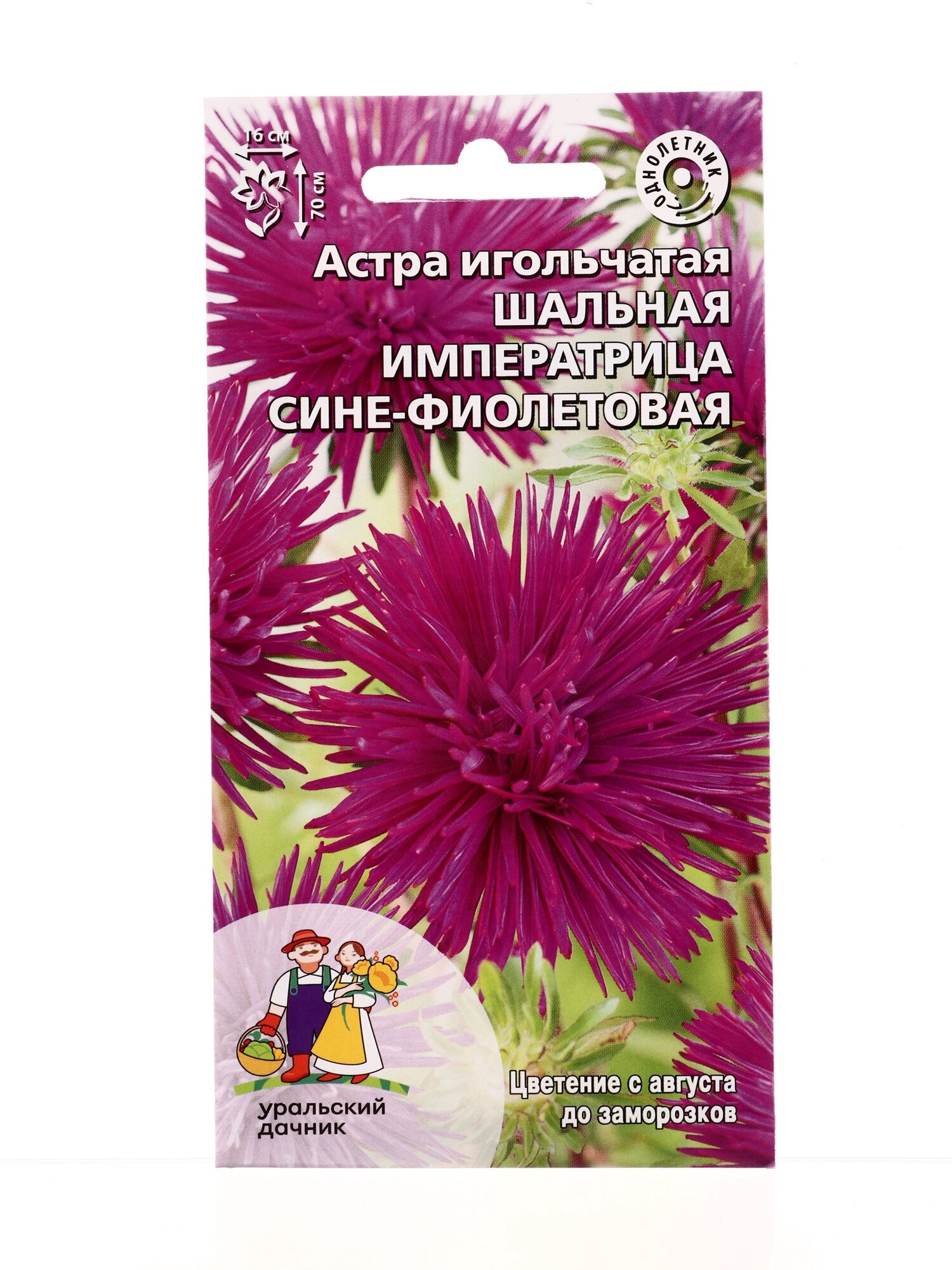 Семена Цветы Астра игольчатая Шальная императрица сине-фиолетовая (УД) Е/П , Е/П, 0,2 г. 10964994