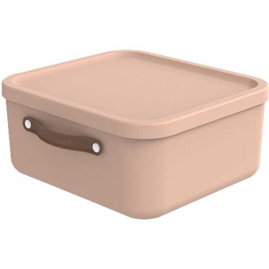 Коробка Rotho Maloja 20 л, ящик для хранения вещей, мелочей, с крышкой и ручкой, пластик (1055003071)