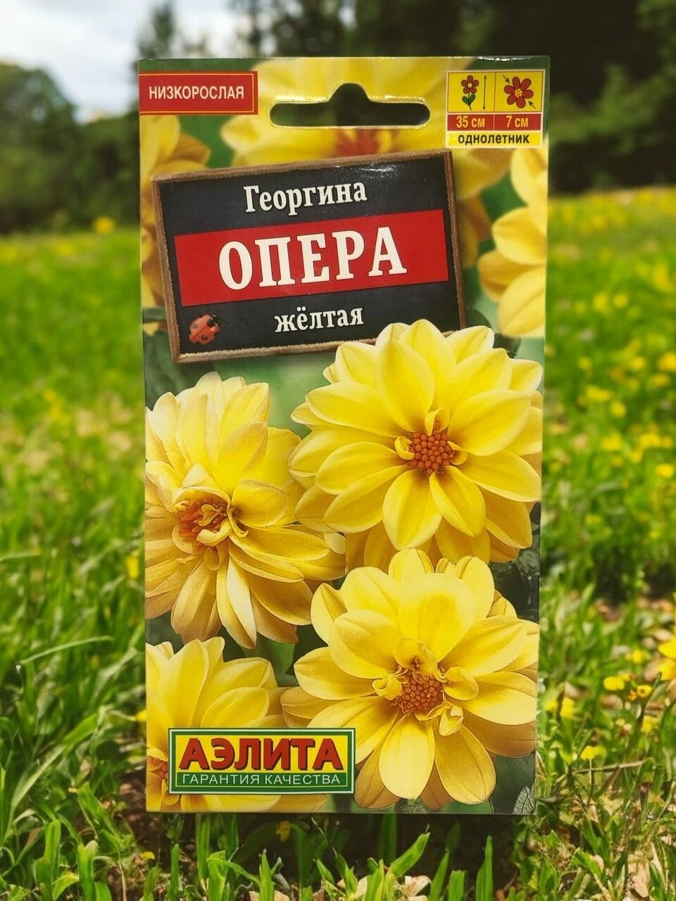 Георгина низкорослая Опера желтая цв. п 7 семян Аэлита