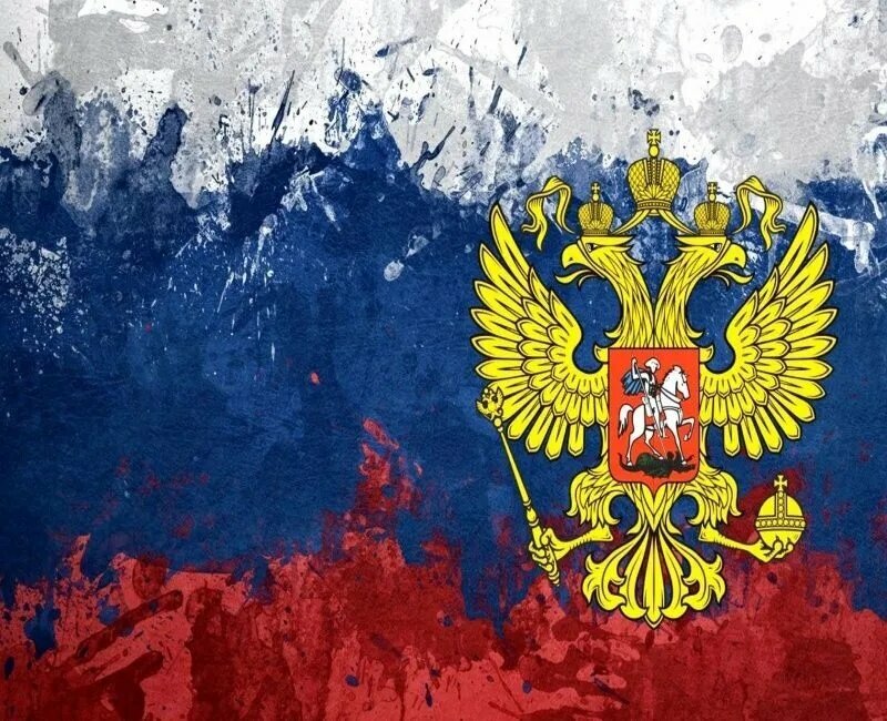 Алмазная мозаика "Ниндзя Глаз" Вышивка Живопись Картина стразами алмазная мозаика ремесла 40х50 см