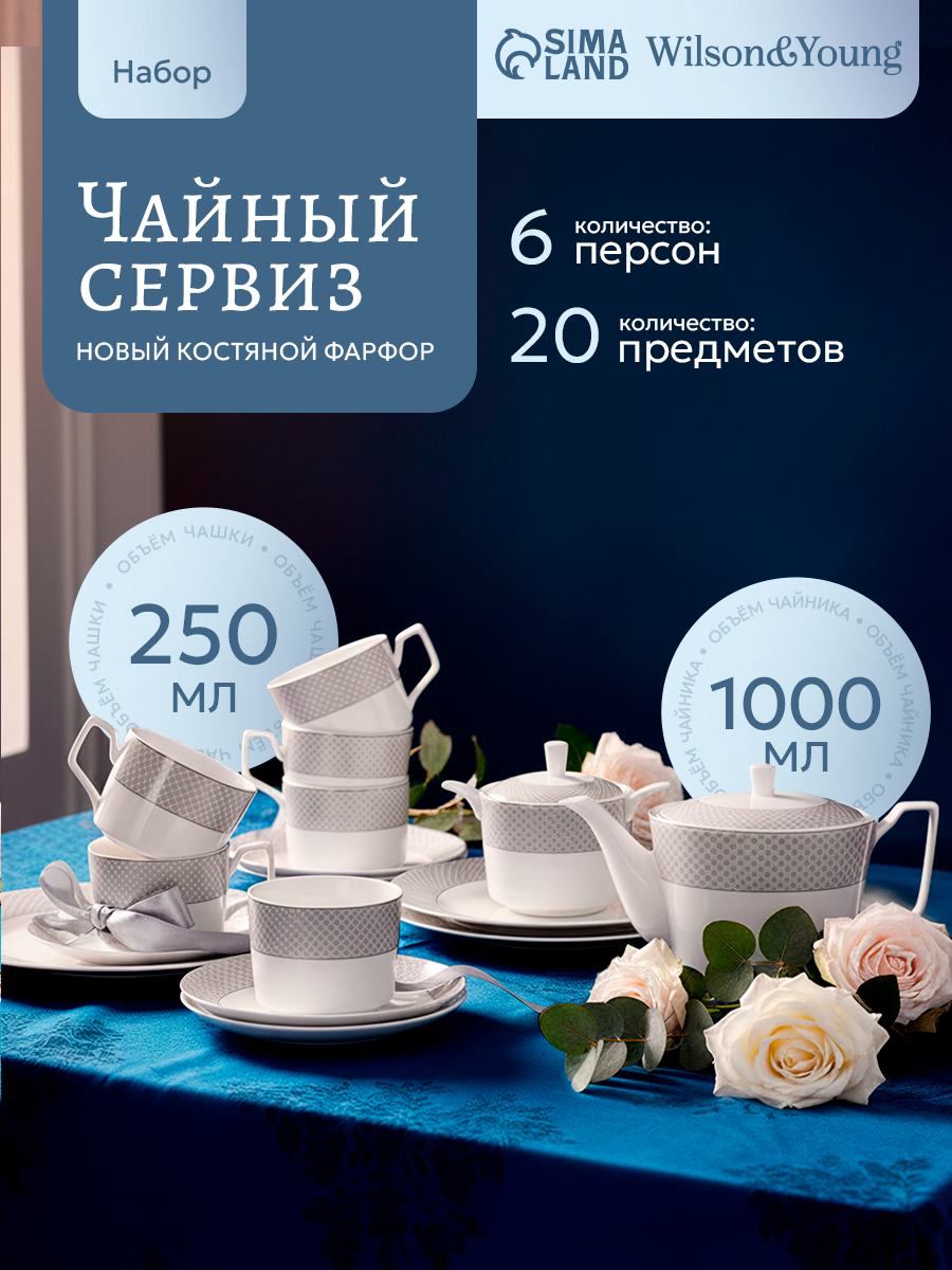 Чайный сервиз Wilson&Young "Eternal", 20 предметов, на 6 персон, фарфор, белый