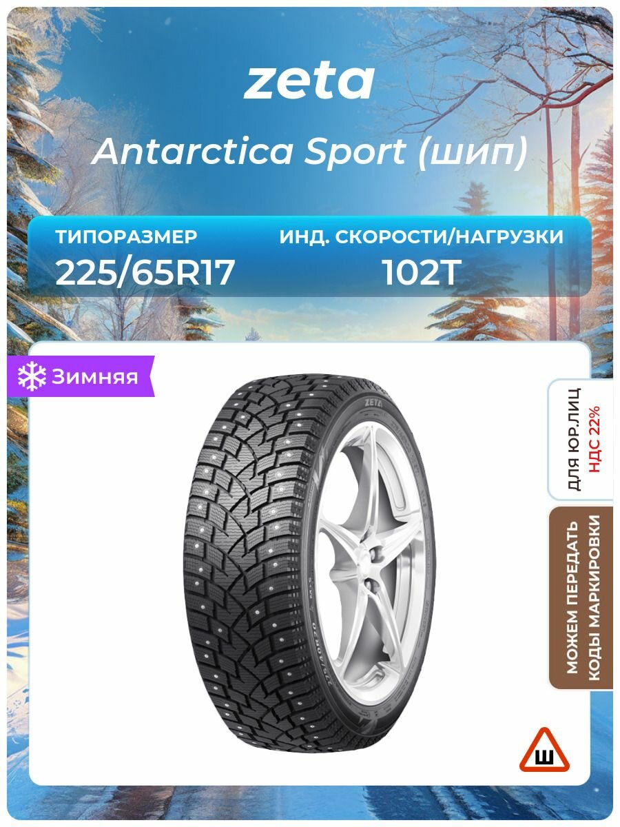 Шина ZETA Antarctica Sport
