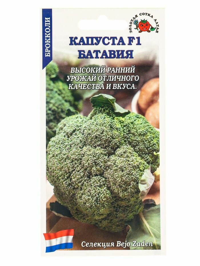 Семена Капуста брокколи Батавия , F1, 10 шт, Золотая Сотка Алтая селекция Bejo Zaden