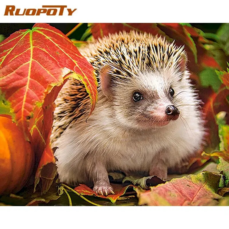 Алмазная живопись RUOPOTY ежик белка Full Square 40x30cm, DZDP1756