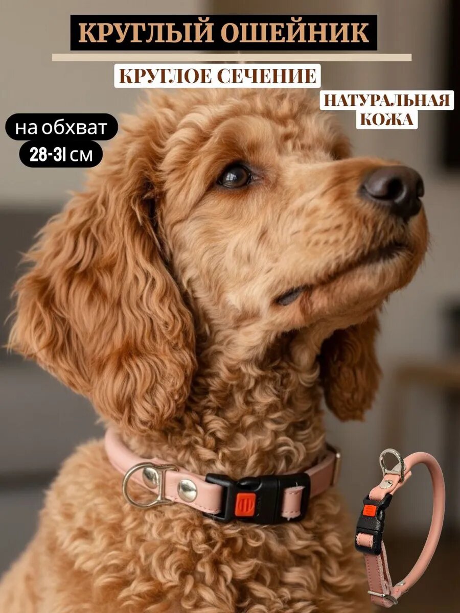 Dogbond Ошейник для шпица круглый кожаный 28-31 см