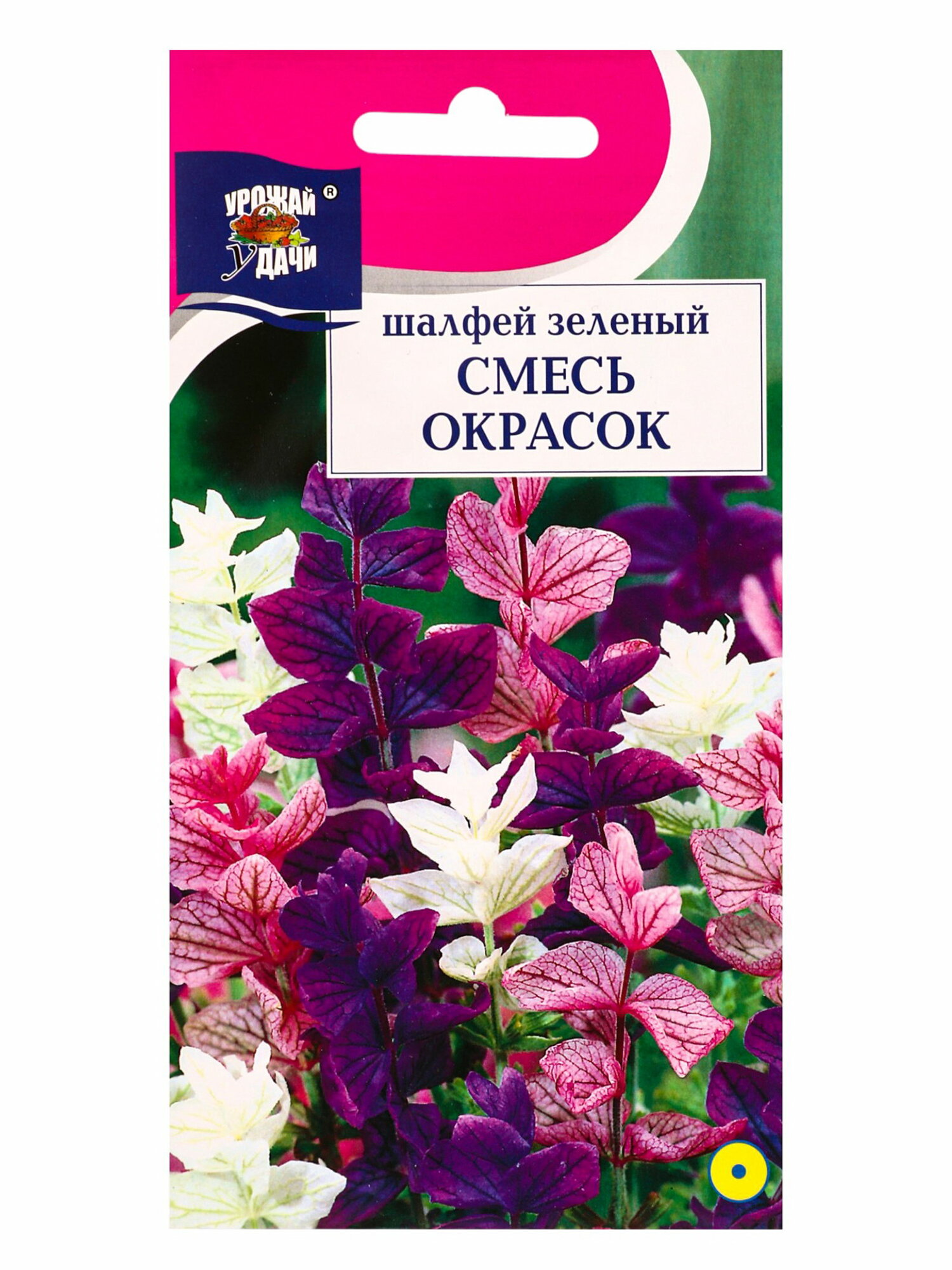 Семена цветов Шалфей зеленый Смесь окрасок 0.2 гр, размер упаковки: 8 x 0.2 x 15 см, 3 шт.