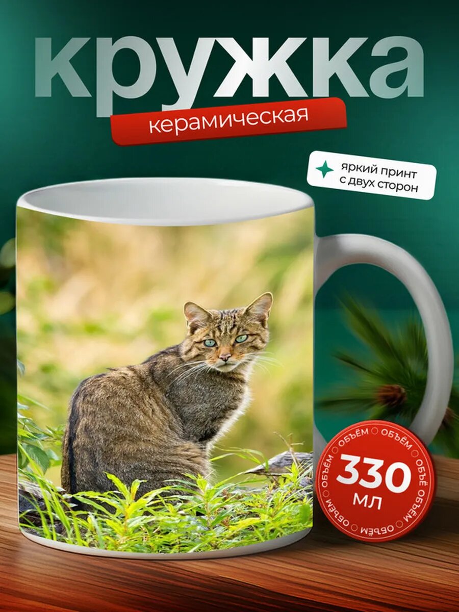 Кружка Латвийский болотный кот 18,