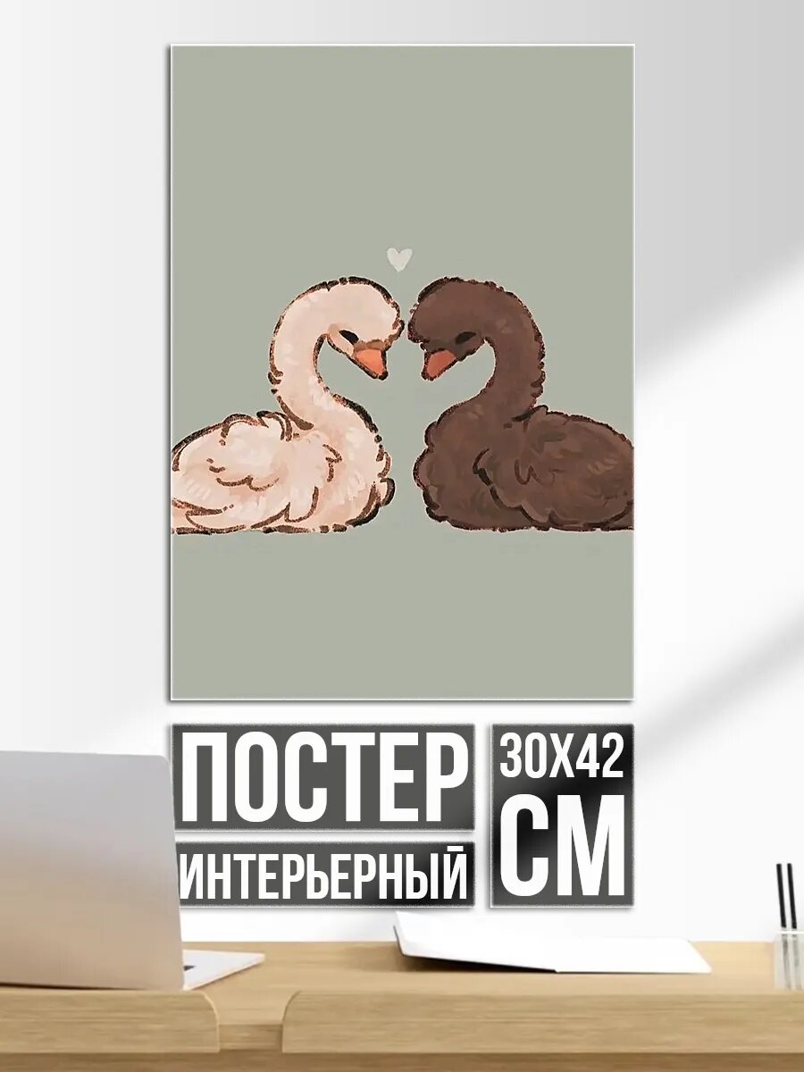 Плакат постер Два лебедя любовь