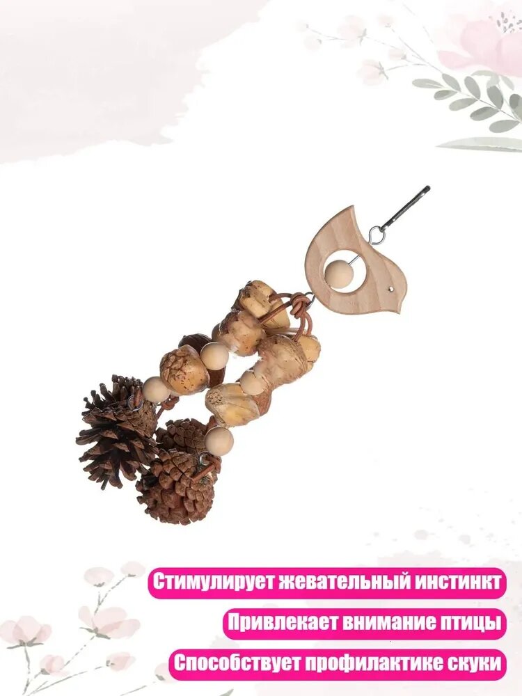 Игрушка из шишки для птиц, аксессуар для клетки, для развлечения и жевания, - Птичий стиль