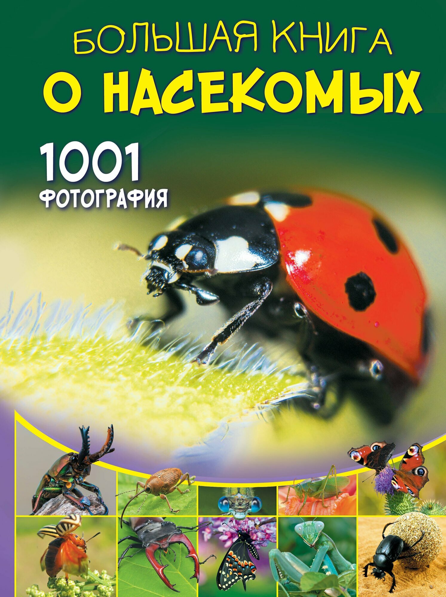 Большая книга о насекомых. 1001 фотография