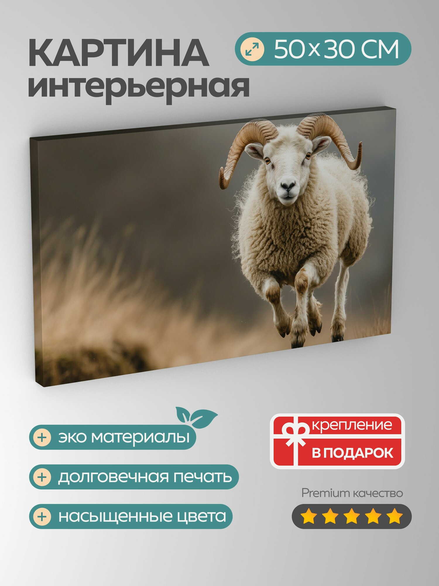 Картина на холсте интерьерная 50х30 см, Баран, природный ландшафт, высокое разрешение, детализация, сила, решительность