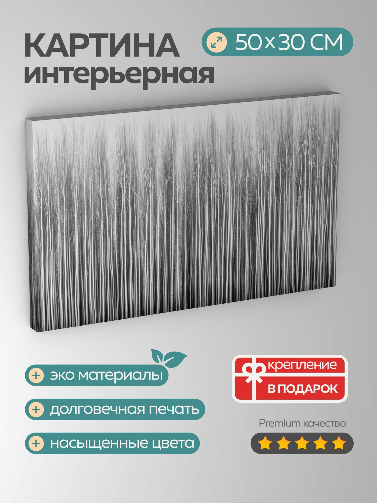 Картина на холсте интерьерная 50х30 см, черно-белая фотография, ритмичный пейзаж, ряды деревьев, стройные деревья, узор