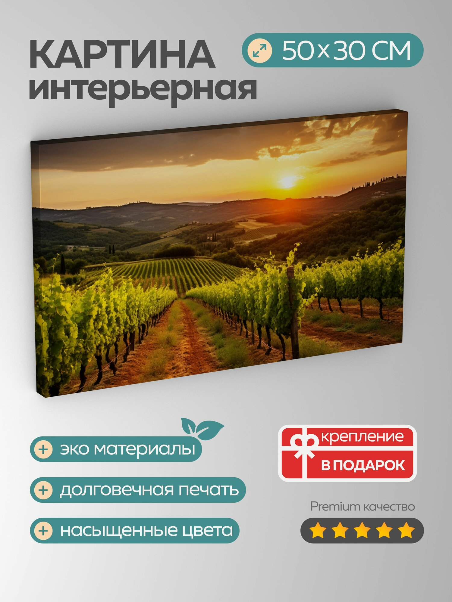 Картина на холсте интерьерная 50х30 см, фотография, тосканский виноградник, закат, ряды виноградных лоз, пологие холмы