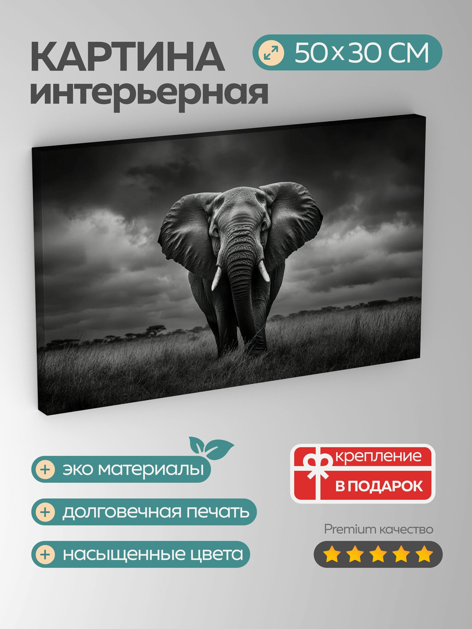 Картина на холсте интерьерная 50х30 см, слон, монохром, размеры, мощь, равнины, освещение, текстуры, 5:3, африканский