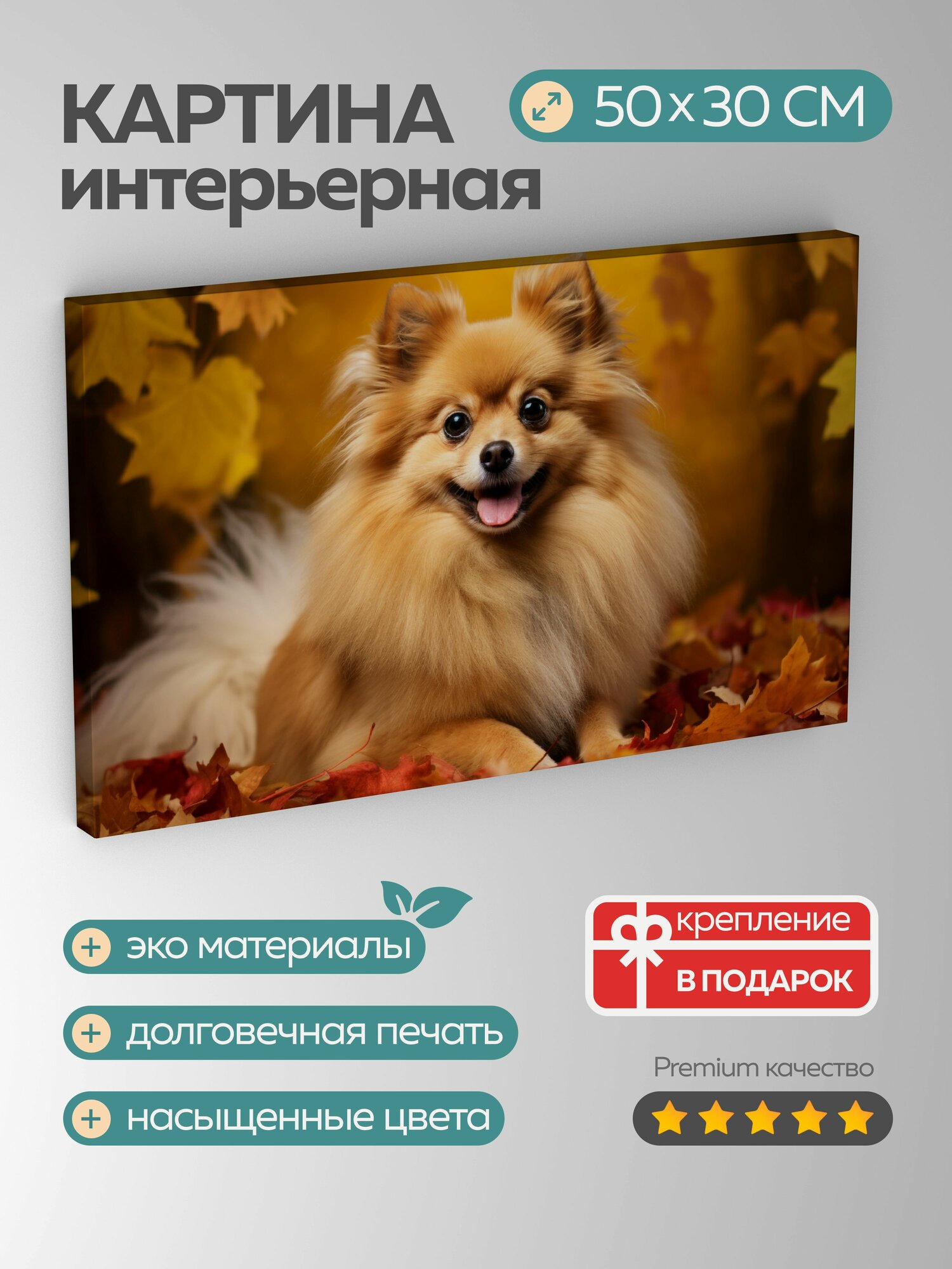 Картина на холсте интерьерная 50х30 см, шпиц, фотография, осенние листья, роскошный мех, контраст, цвета сезона, грация